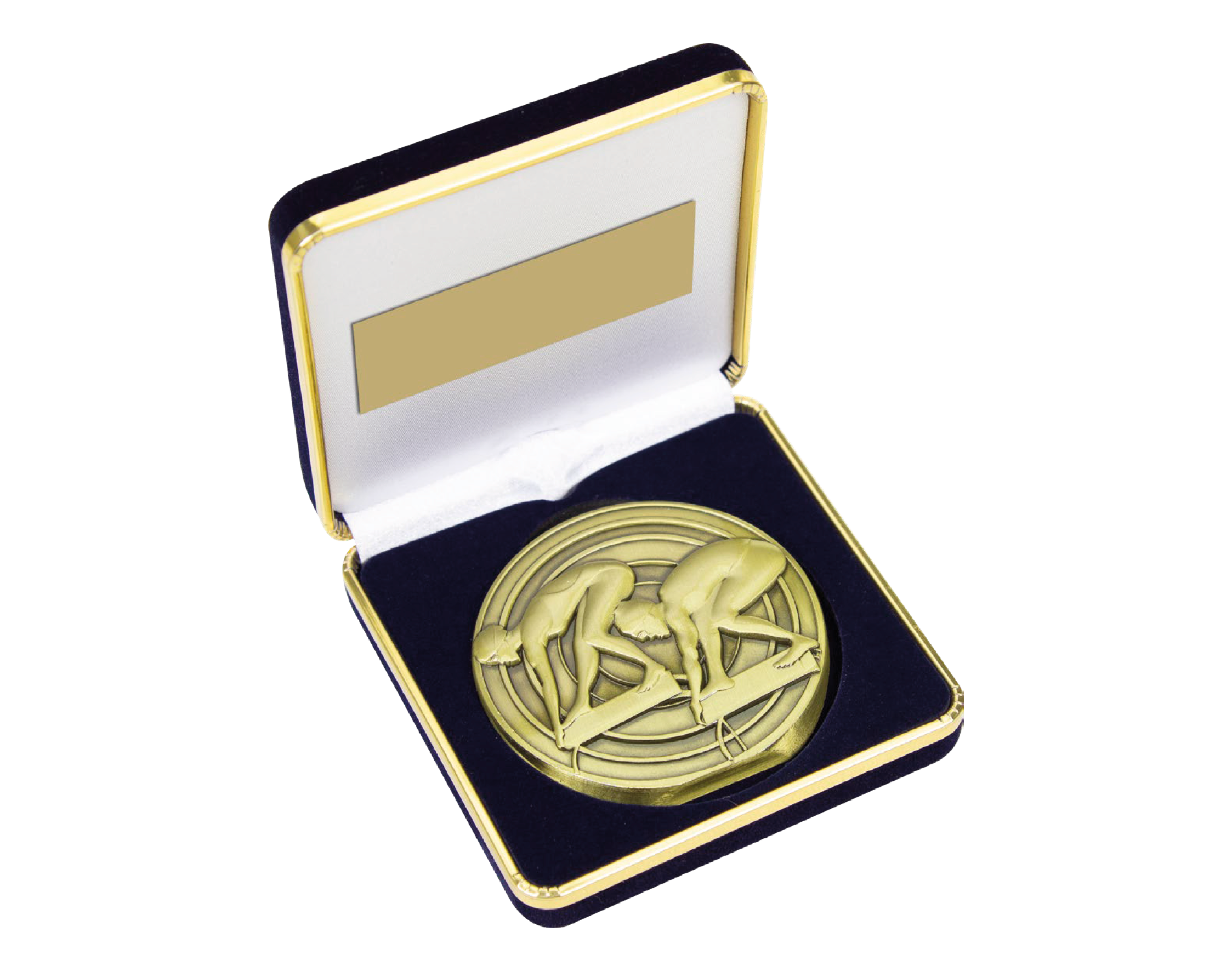 T300E - Antique Gold Off The Blocks 27 Swimming Presentation Medal ...