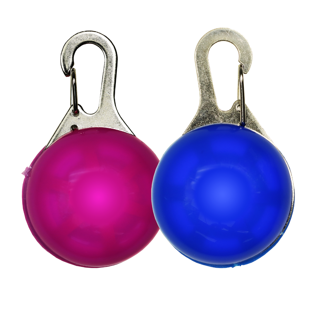 Dog Collar Lights | Running Imp - Running Imp