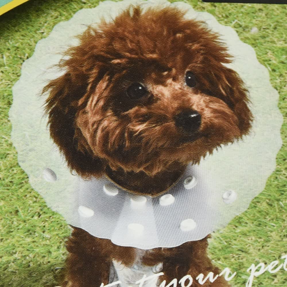 Jual Paws N Tail Corong Pelindung Leher Anjing Ukuran L Terbaru | Ruparupa