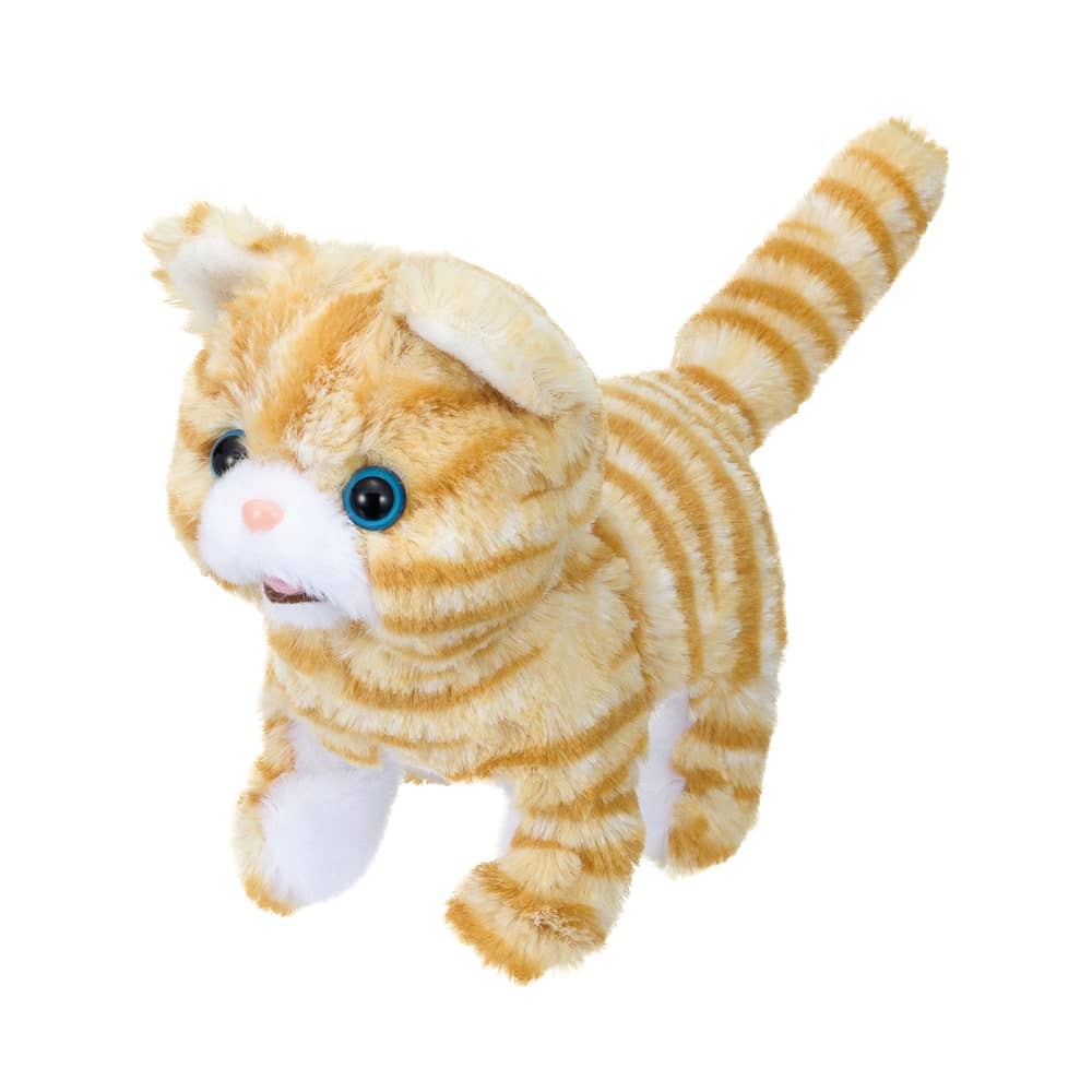 Jual Iwaya Boneka Plush Kucing Baby Scottish Fold Terbaru | Ruparupa