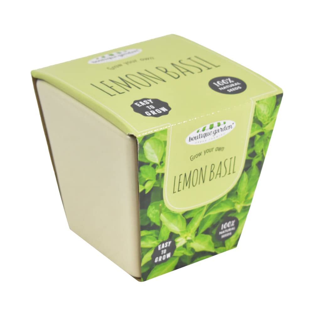 Jual Boutique Garden Bibit Tanaman Lemon Brasil Dengan Bio Pot Keramik ...