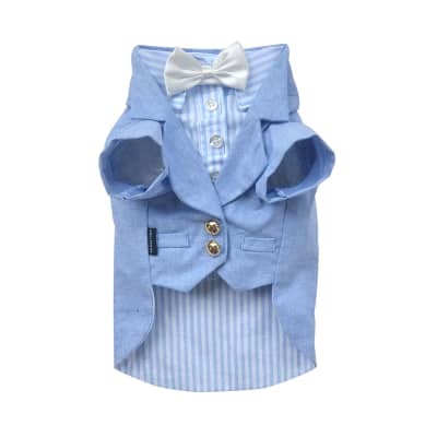 Jual Doggy Dolly Ukuran Xxl Baju Tuxedo Anjing Big Biru Terbaru | Ruparupa