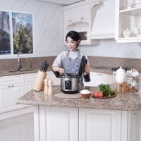 Jual Kris 1 Ltr Deluxe Rice Cooker Silver Terbaru | Ruparupa