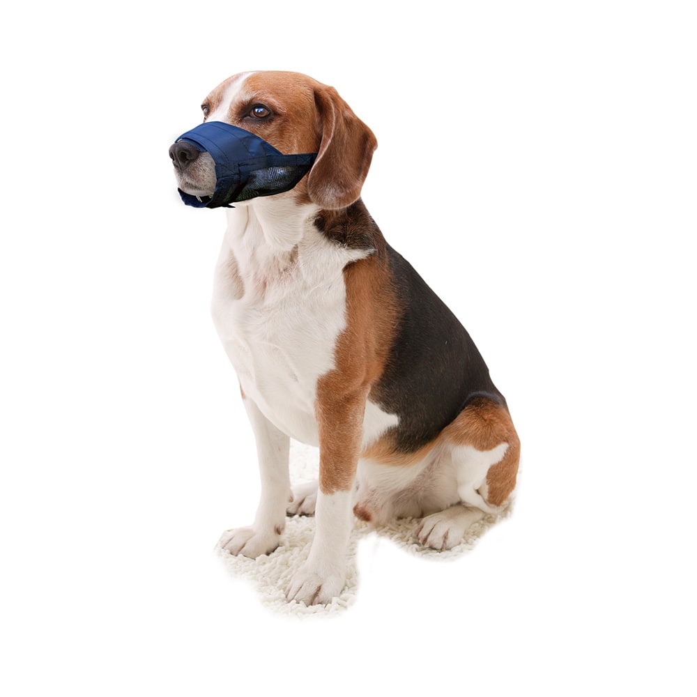 Jual Penutup Mulut Anjing Harga Baru April 2024