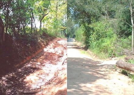 Improving rural mobility in poor countries | Rural Roads