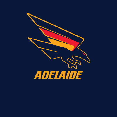 Official AFL Team Merchandise & AFL Football Store Onli