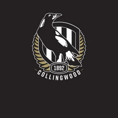 Official AFL Team Merchandise & AFL Football Store Onli