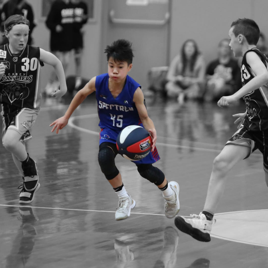 Get Ready for VJBL 2020