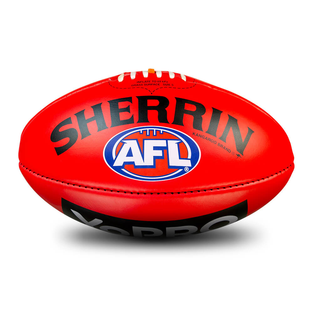 Melbourne Demons Training Ball