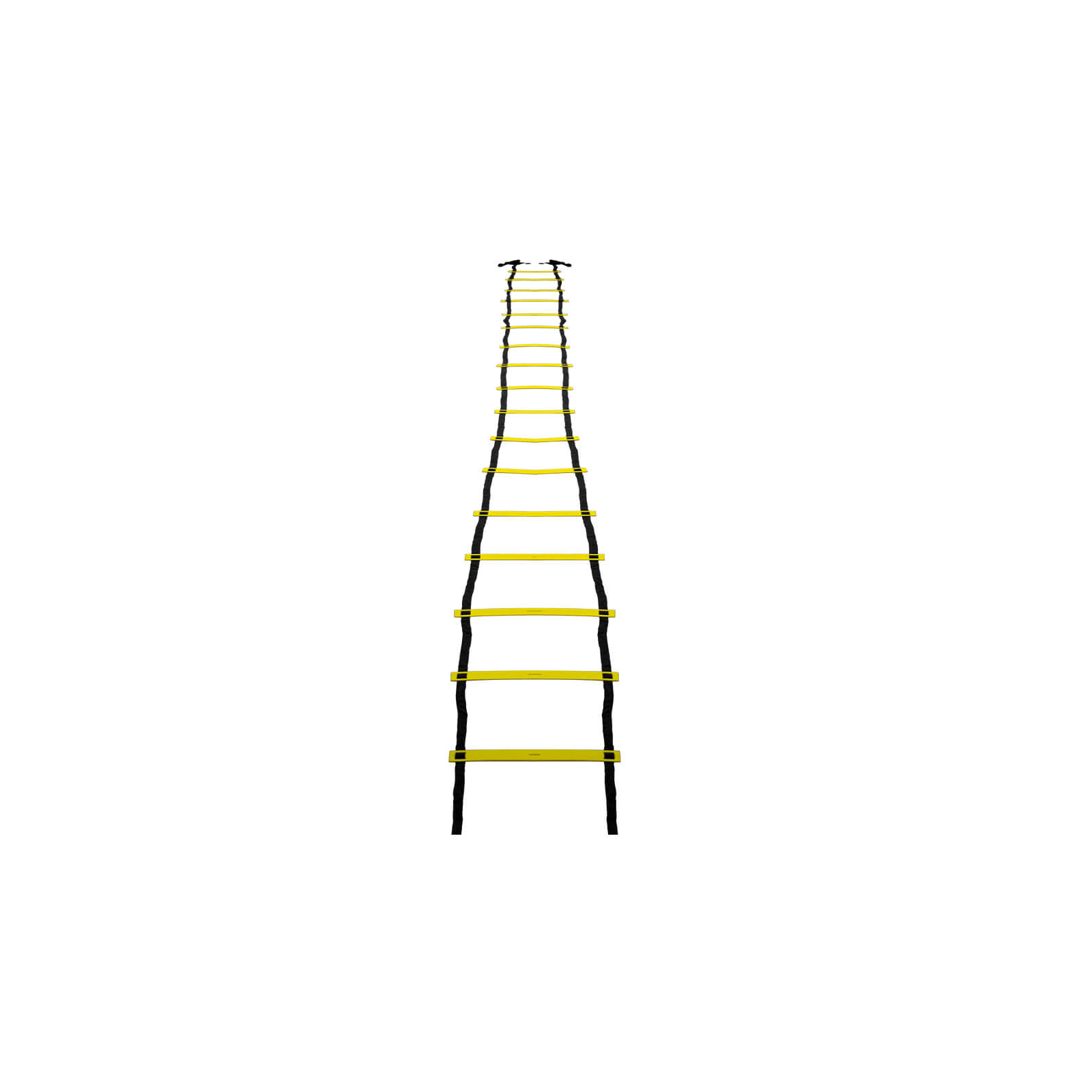 Training Ladder