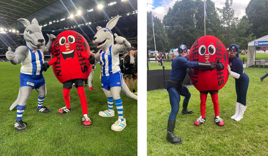 The Adventures of TW