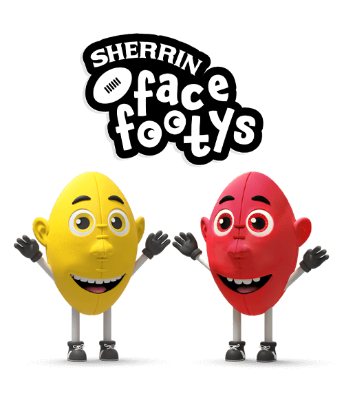Sherrin Face Footys Perfect Punt