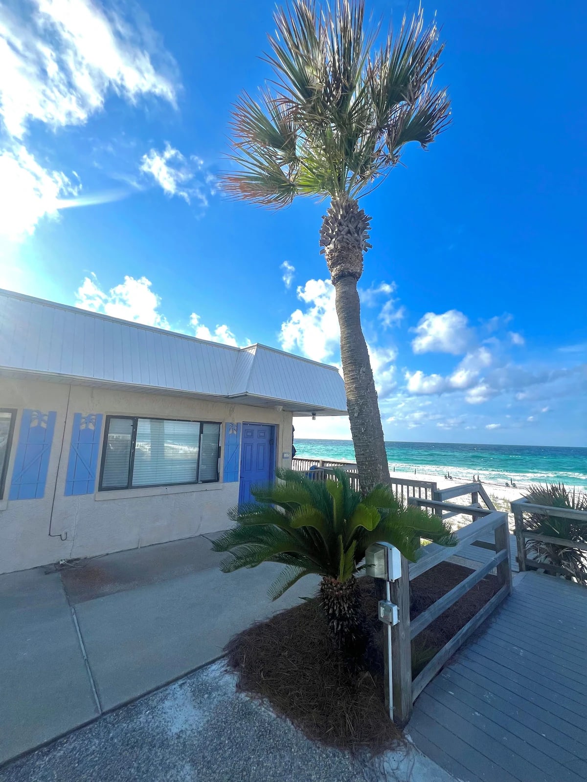 Capri 115 Dolphin View By the Gulf • House rental near Destin, FL