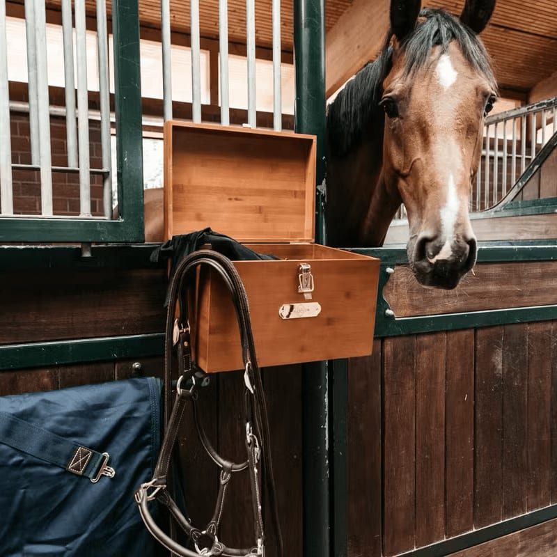 Grooming Deluxe Stable Tack Box Ryttersport - norsk leverandør av ...