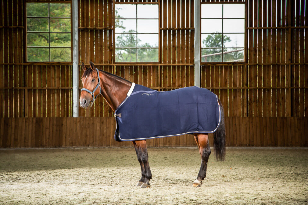 Dyon Wool Rug Ryttersport - norsk leverandør av premium produkter til ...