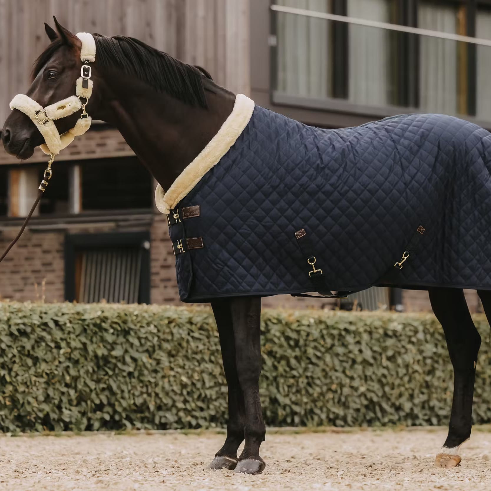 Kentucky Show Rug Ryttersport - norsk leverandør av premium produkter ...