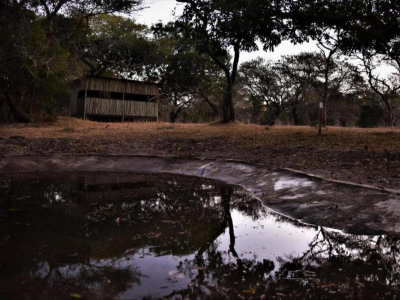 Nguni Lodge