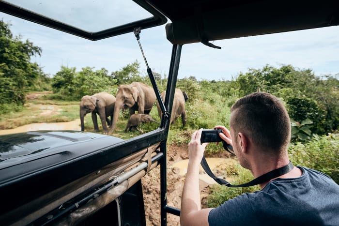 safarica.com - Mangetti National Park