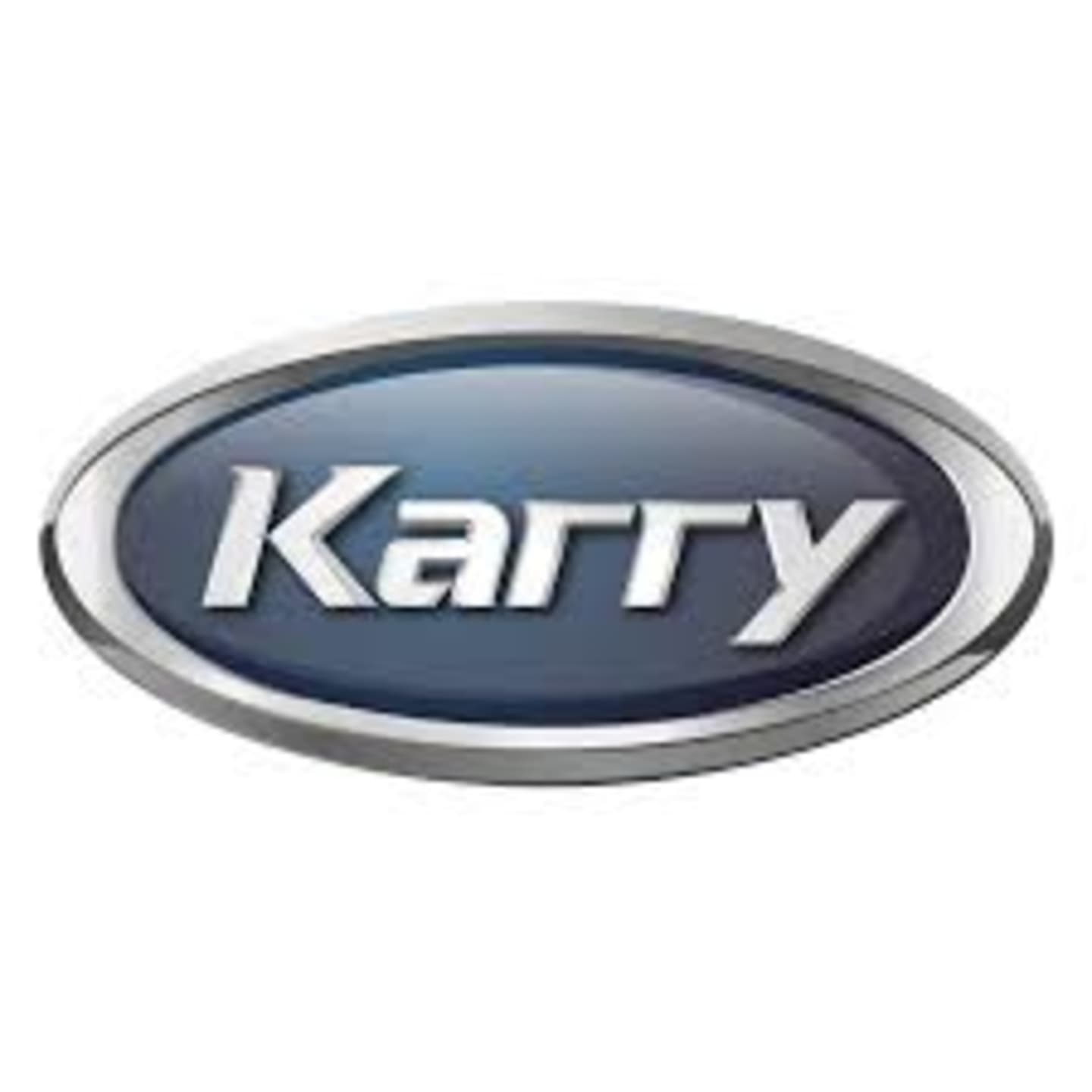 KARRY | SafeLemon: Seguros con sentido