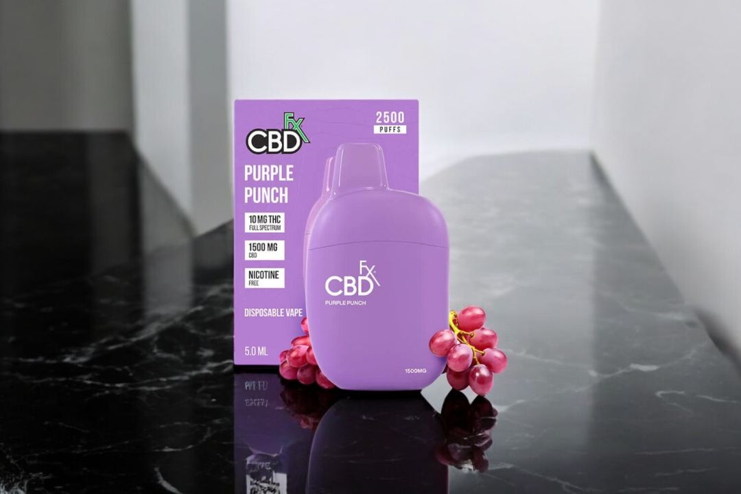 Best Disposable Weed Pens 2026: Top 4 THC Vape Pens for Potency ...