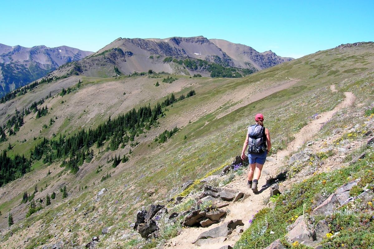 Try This Trail: Grand Ridge | Seattle Met