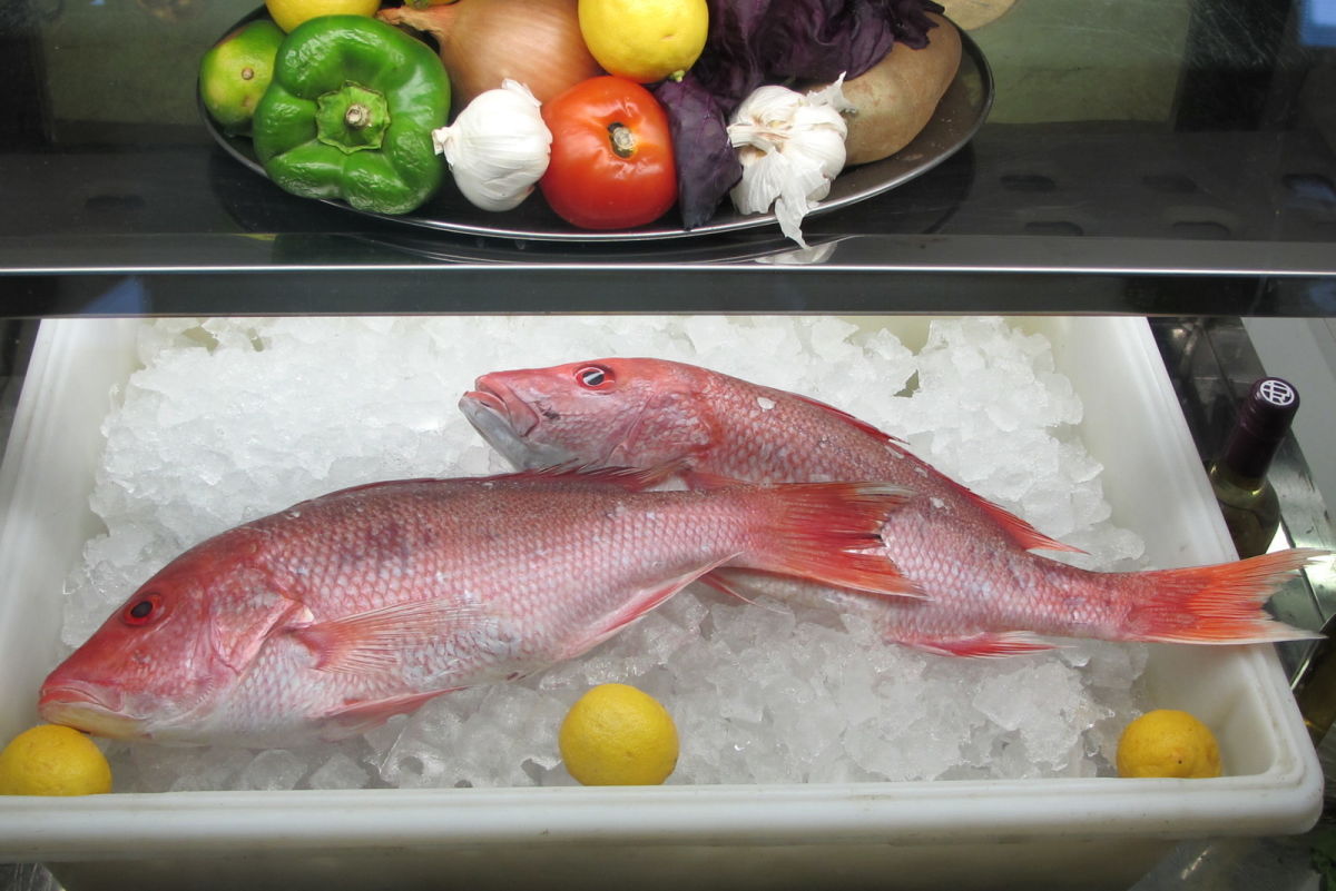 Red Snapper Inn | Restaurants | Houstonia Magazine