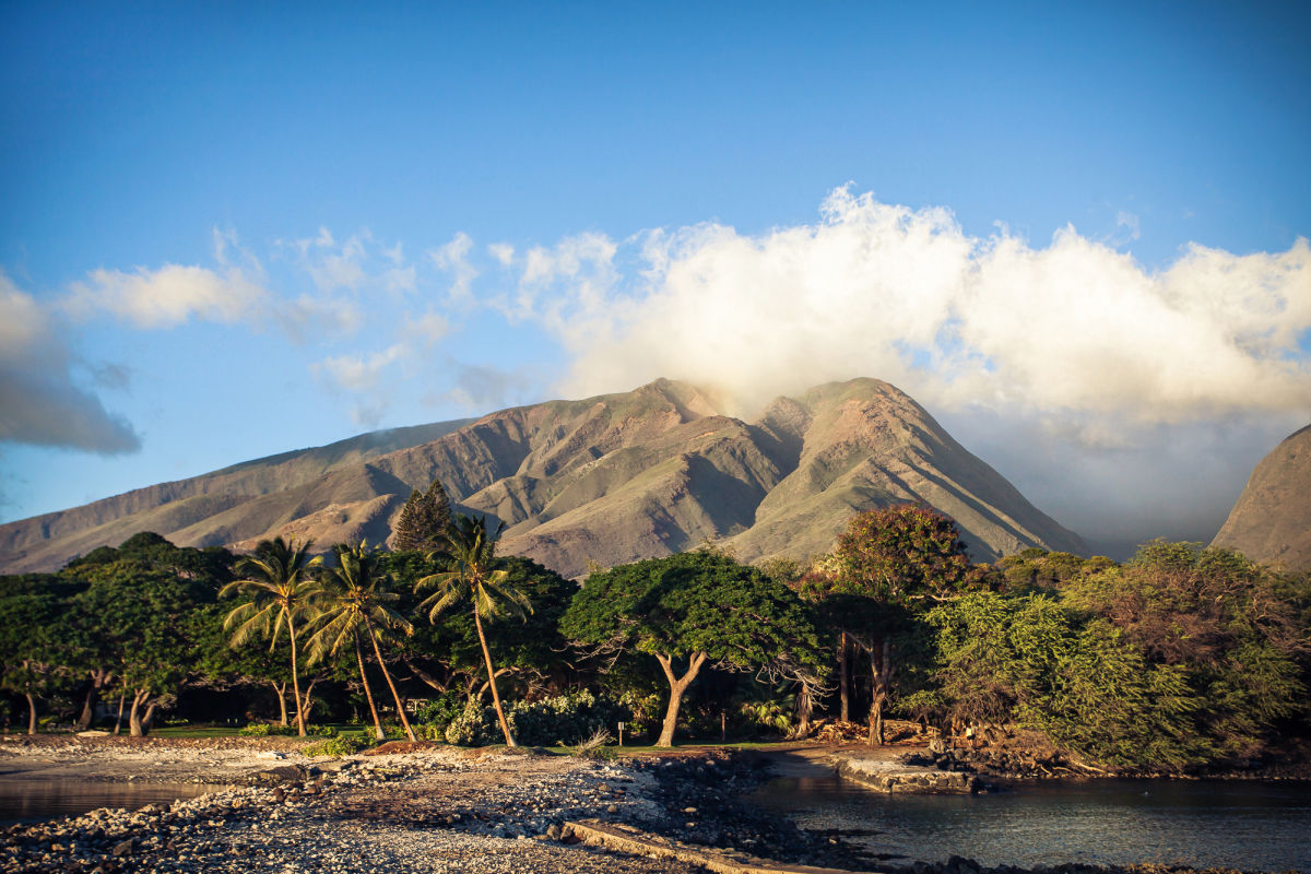 Where to Find Aloha in Seattle | Seattle Met