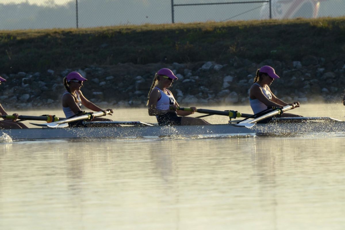 How a Yale Student Learned to Love Rowing Growing Up in Sarasota ...