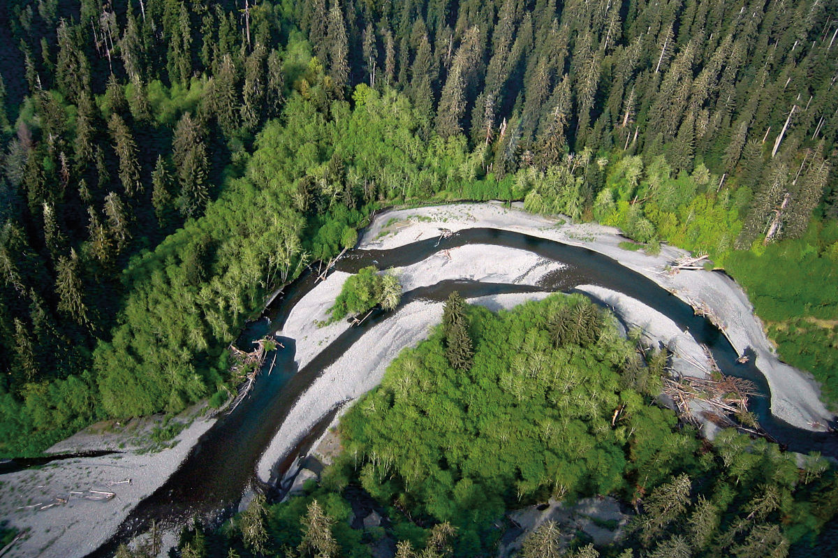 Ecotrust Puts Its Faith—and Funds—in Healthy Forests | Portland Monthly