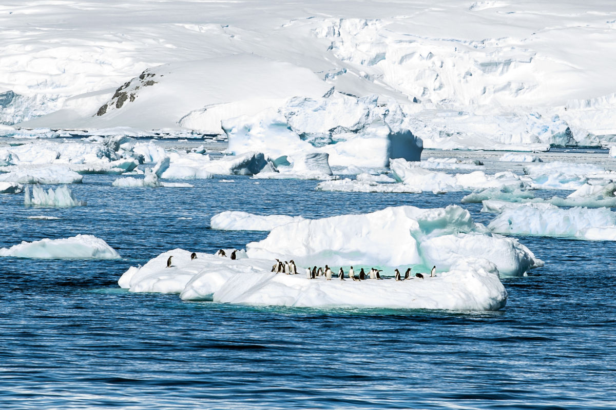 Take a Stress Break and Look at These Amazing Images of Antarctica ...