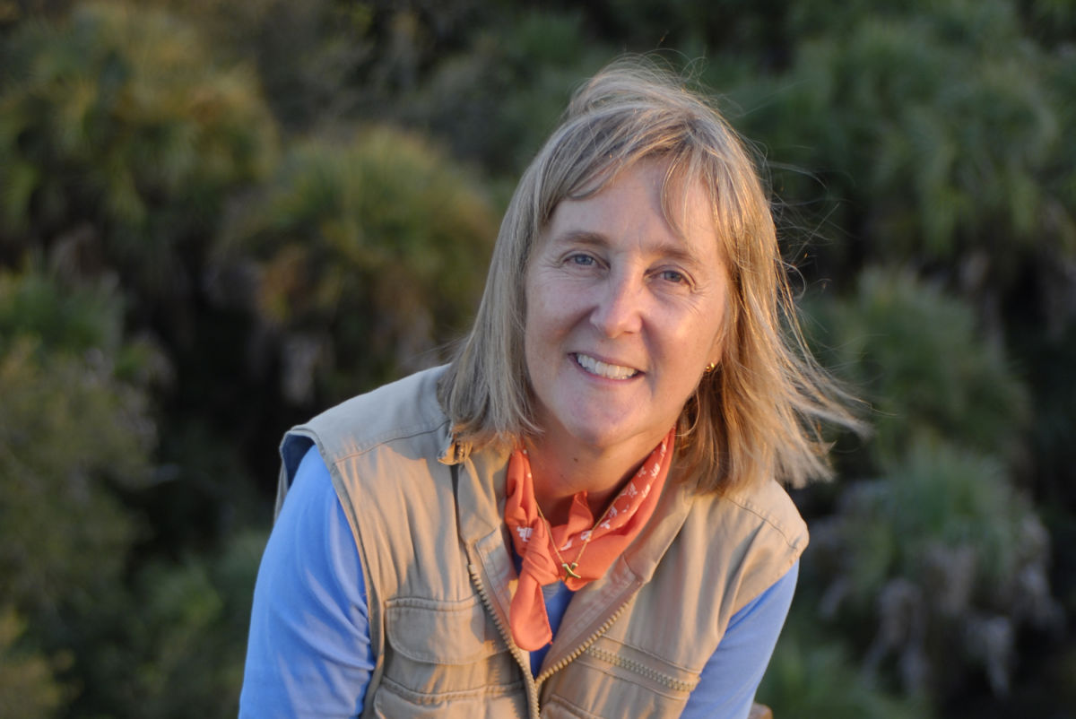 Sarasota Ecologist Meg Lowman Will Speak at Bookstore1 | Sarasota Magazine