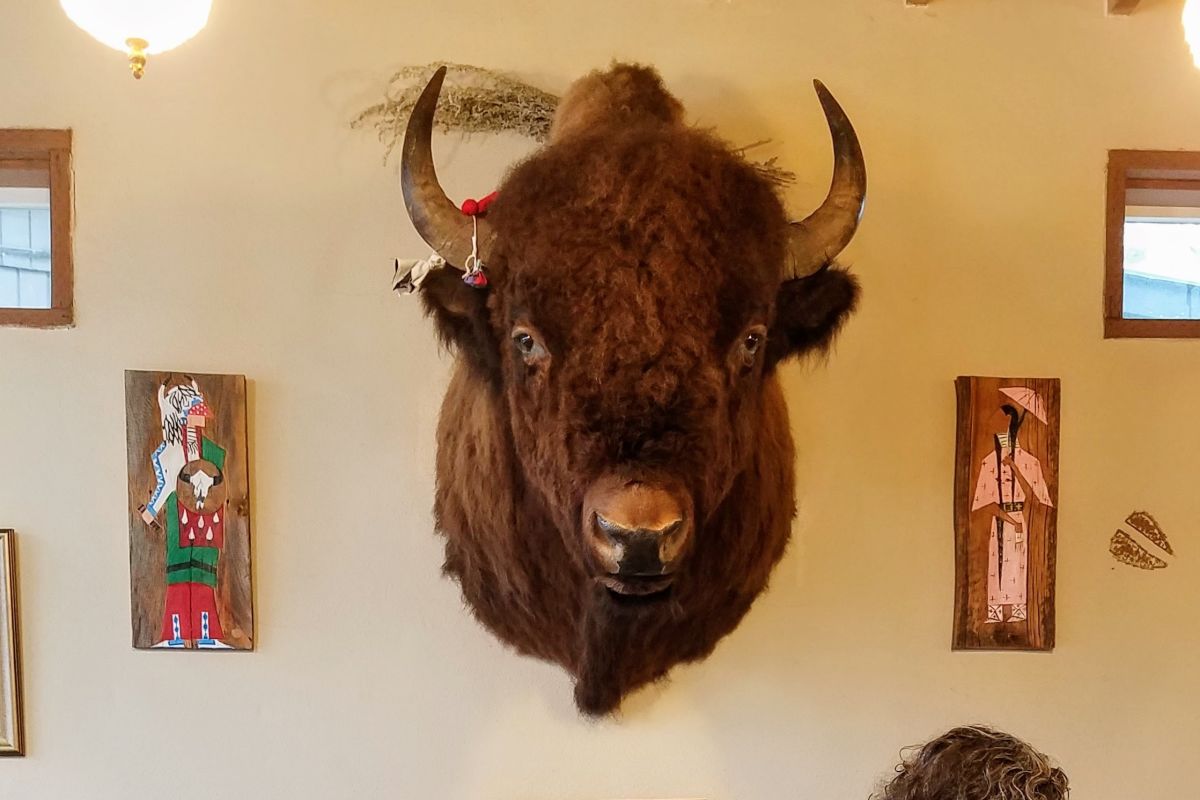 Welcome to Bison Coffeehouse, Portland's Only Native American–Owned ...