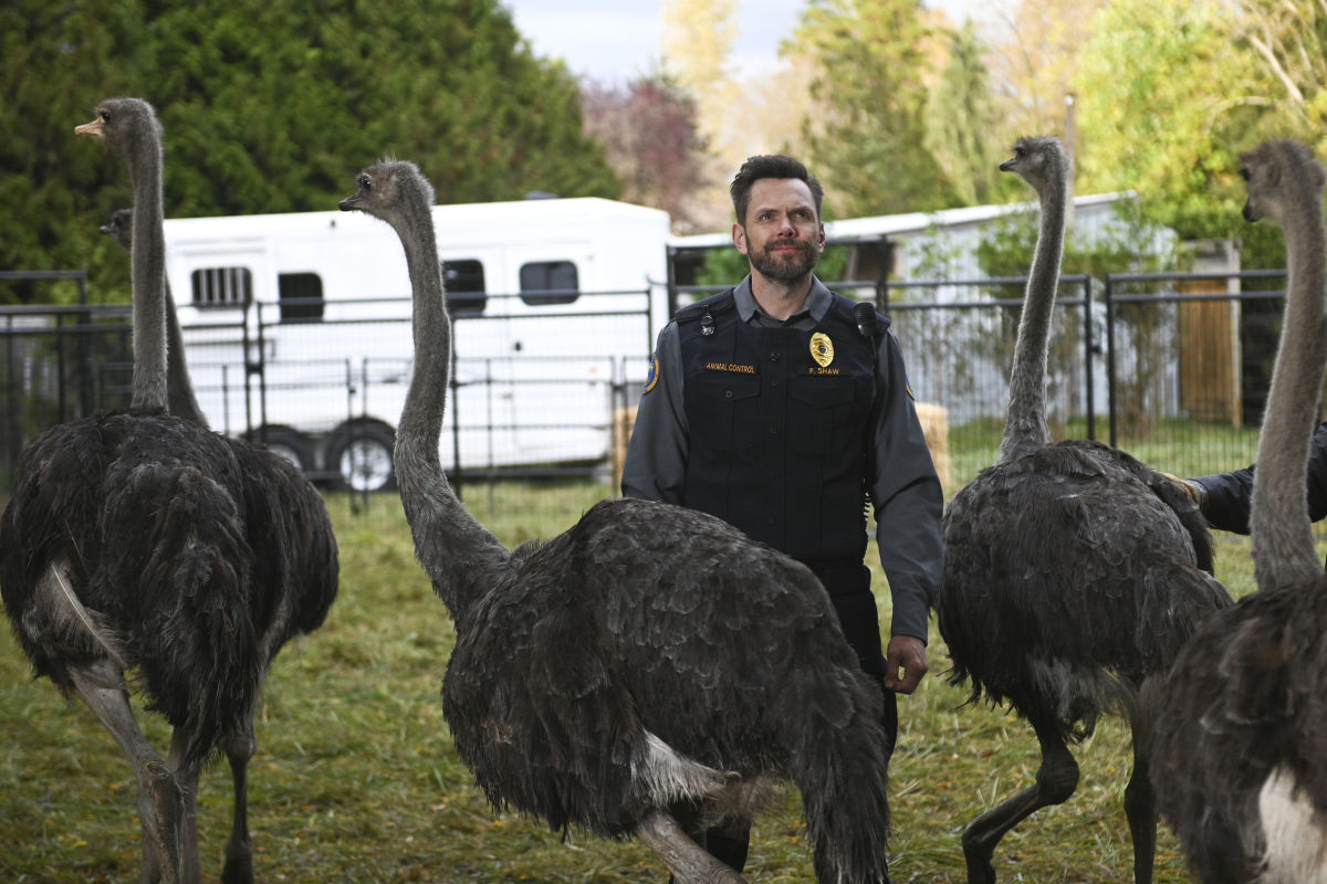 Joel McHale's New Comedy, Animal Control, Is Set in Seattle | Seattle Met