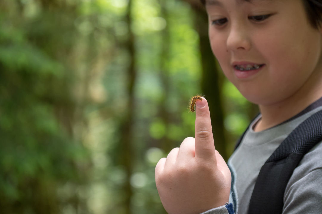 IslandWood - 2 Decades of Environmental Education Growing the Next ...