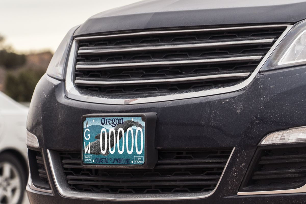 Oregonians Can Now Get Sexy Gray Whales on Their License Plates ...
