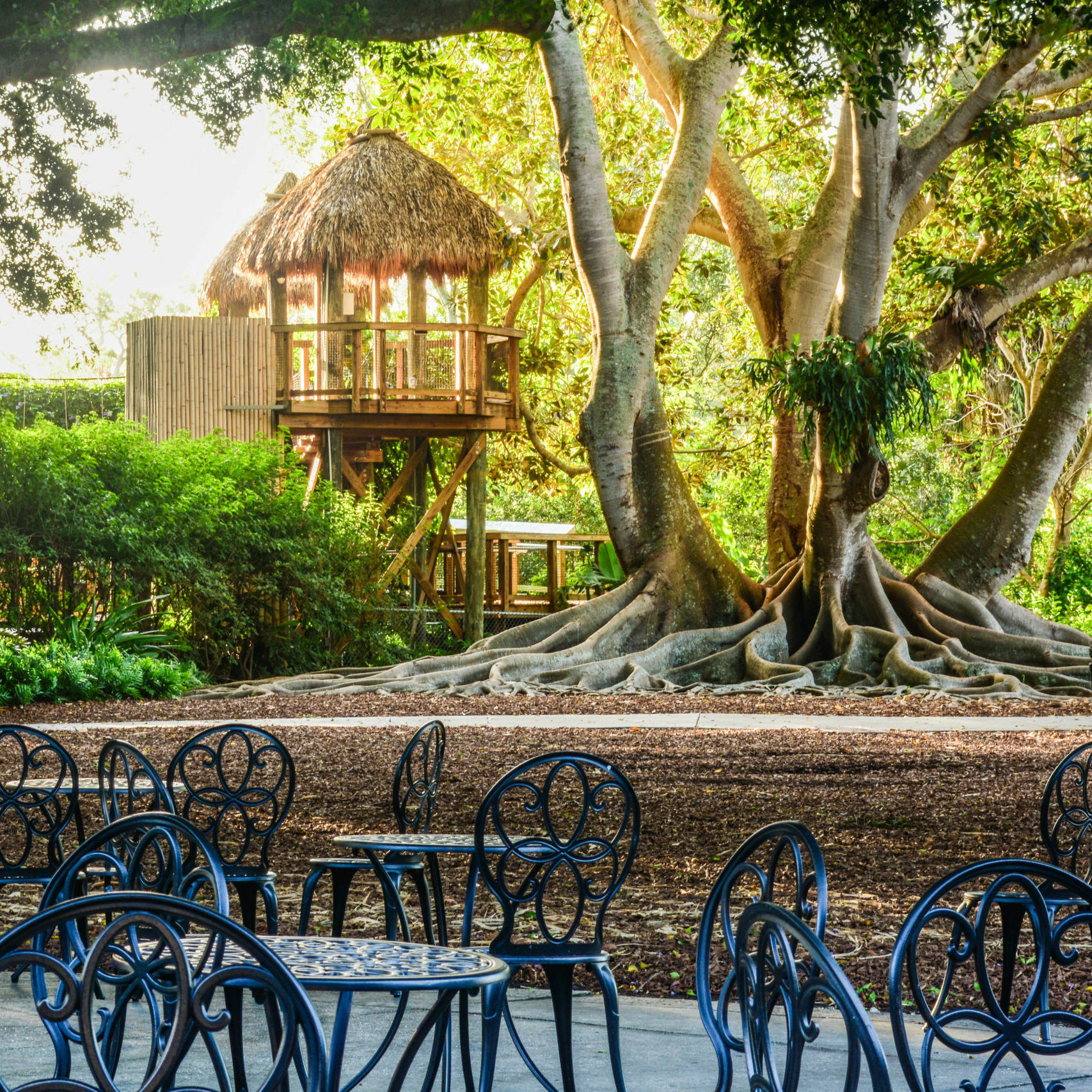 Wade Collier | Sarasota Magazine