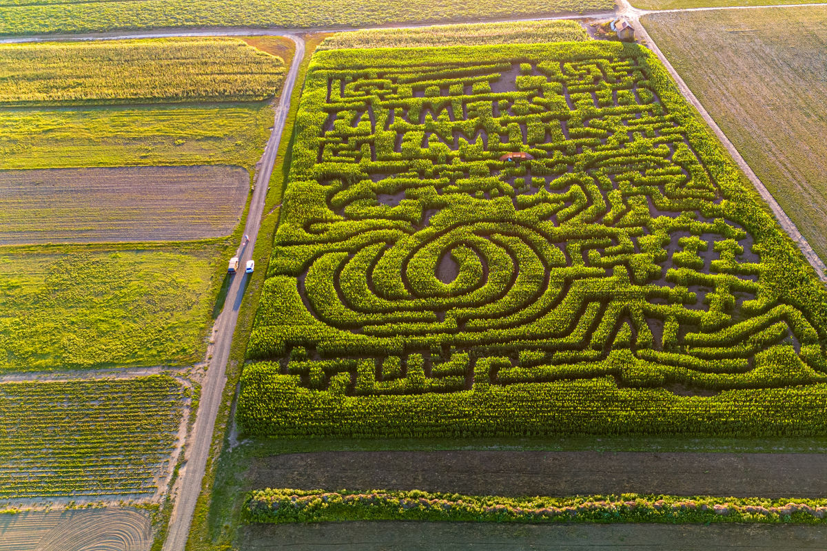 Lose Yourself In These Portland-Area Corn Mazes | Portland Monthly