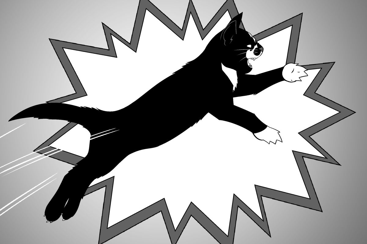 Meet Monster, a Beloved Neighborhood Cat Who Lives Up to Her Name ...