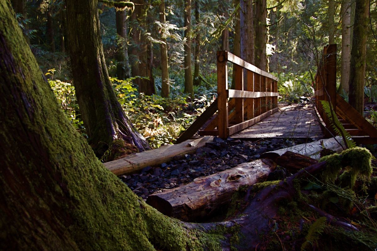 The Best Parks and Adventures on Seattle's Eastside | Seattle Met