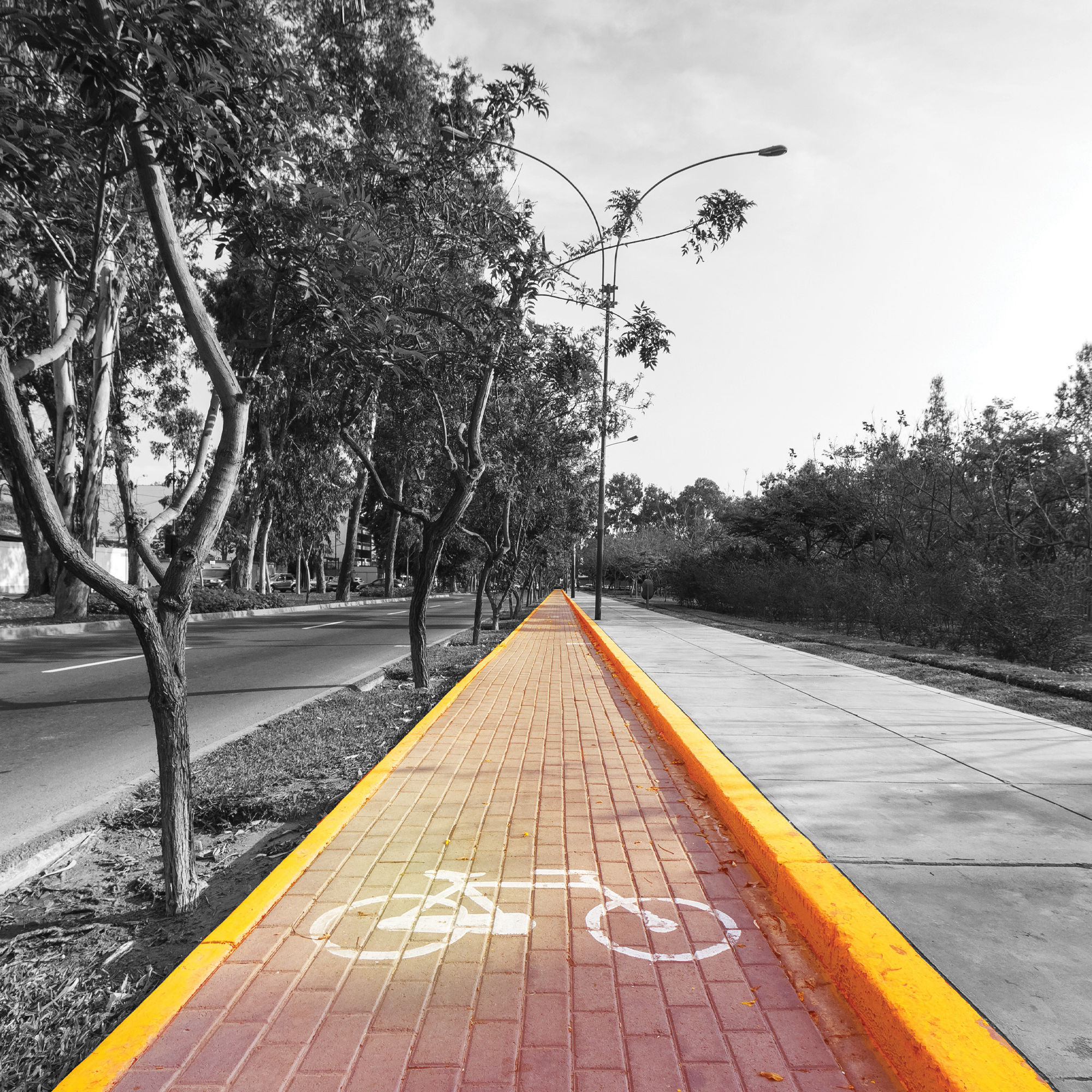 Bethany Ritz | Sarasota Magazine