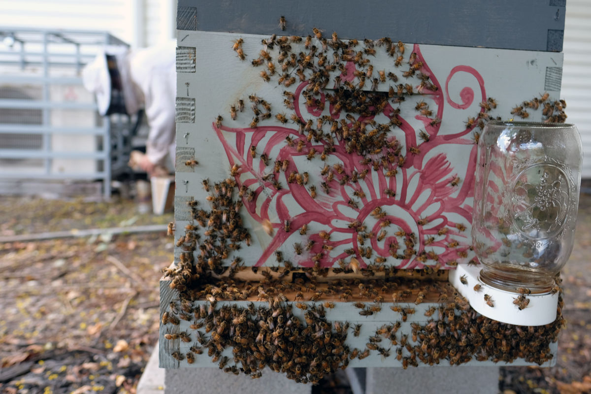 Where Are the Future Beekeepers? | Houstonia Magazine