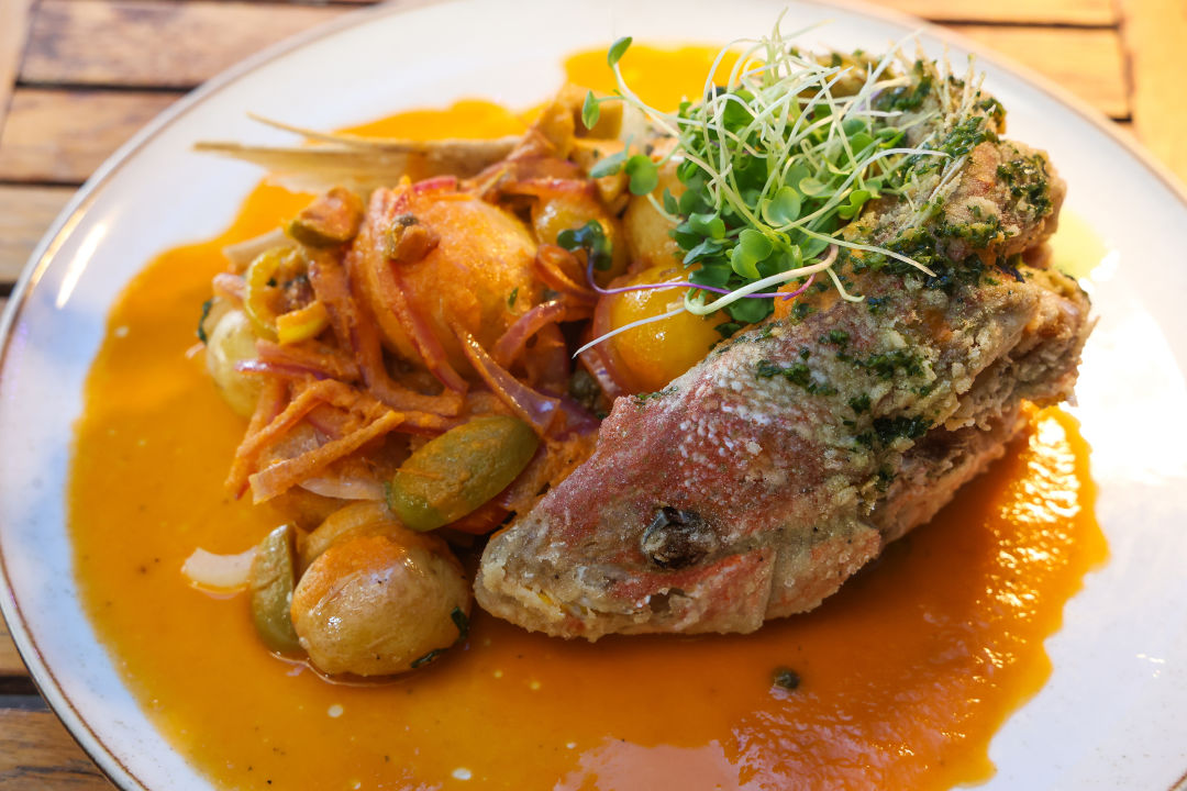 Sarasota's Best New Restaurants | Sarasota Magazine