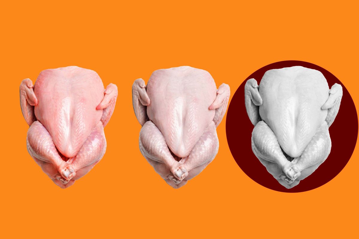 Are Turkeys Becoming Less Flavorful? | Sarasota Magazine