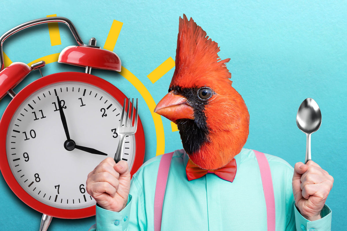Whatever Happened to the Early Bird Special? | Sarasota Magazine