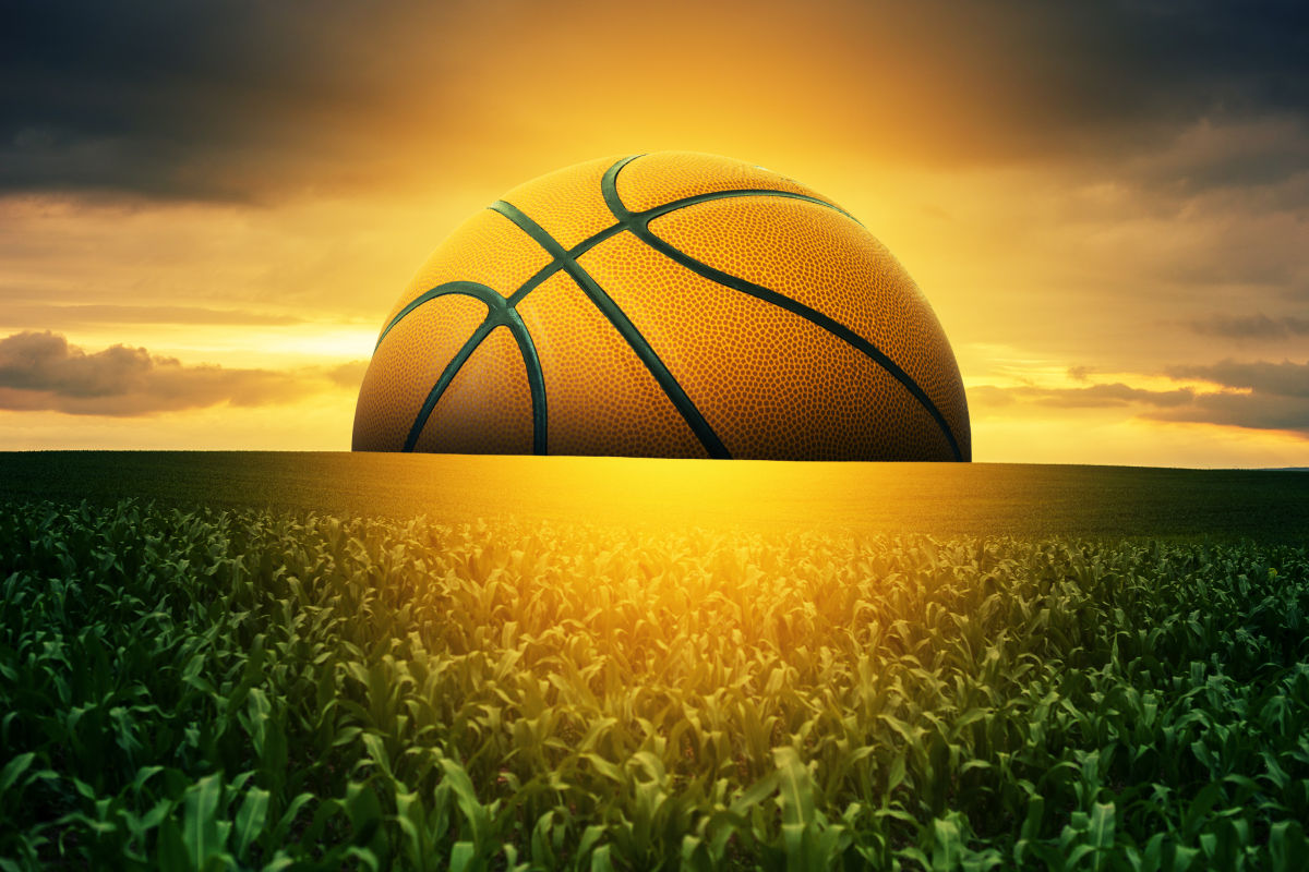 When Portland's WNBA Team Lit Up the Rose Garden | Portland Monthly