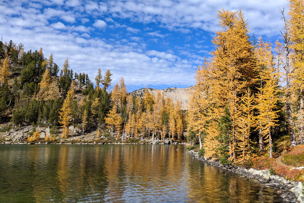 Fall Is Larch Tree Hiking Season in the Pacific Northwest | Seattle Met