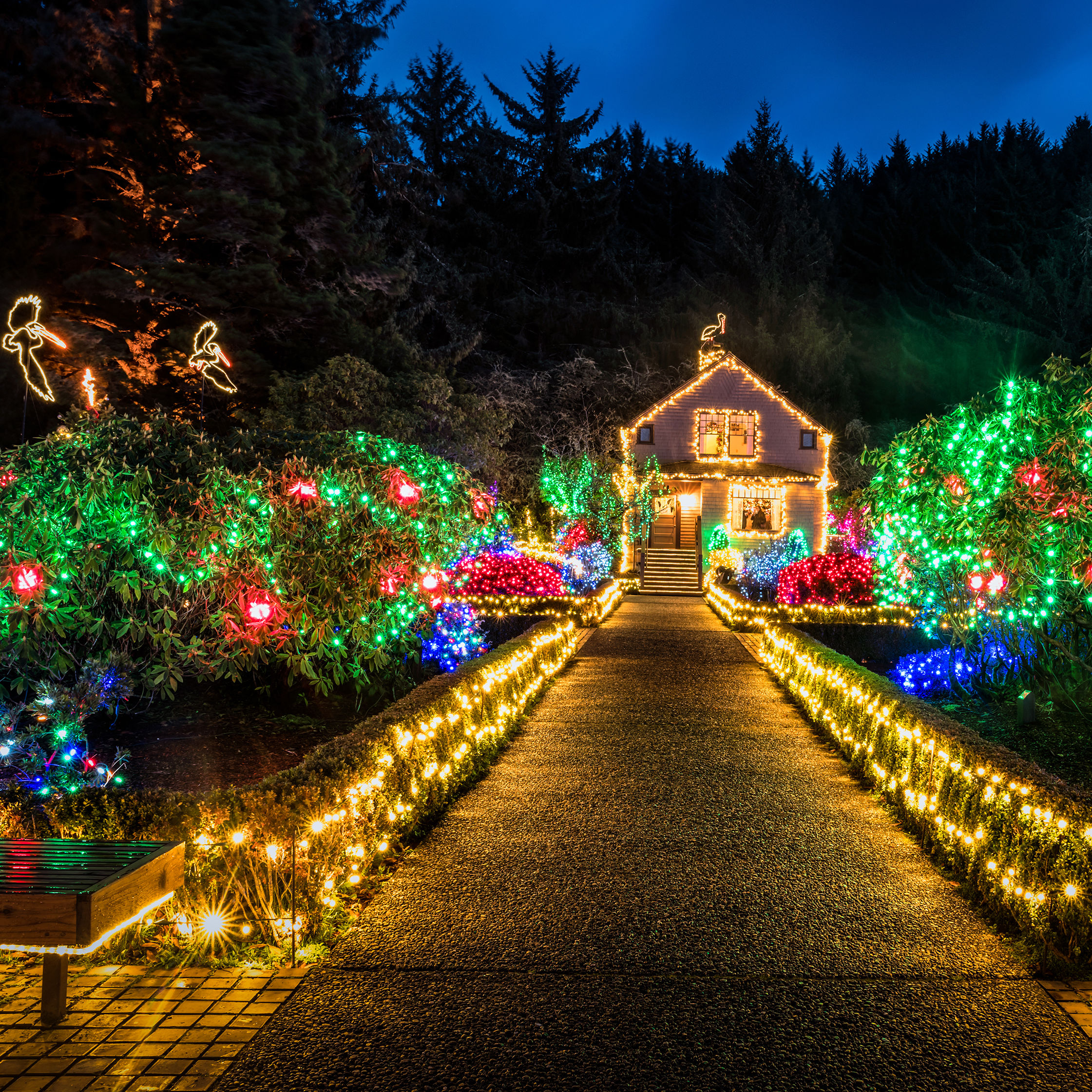 Manuela Durson/shutterstock.com | Portland Monthly