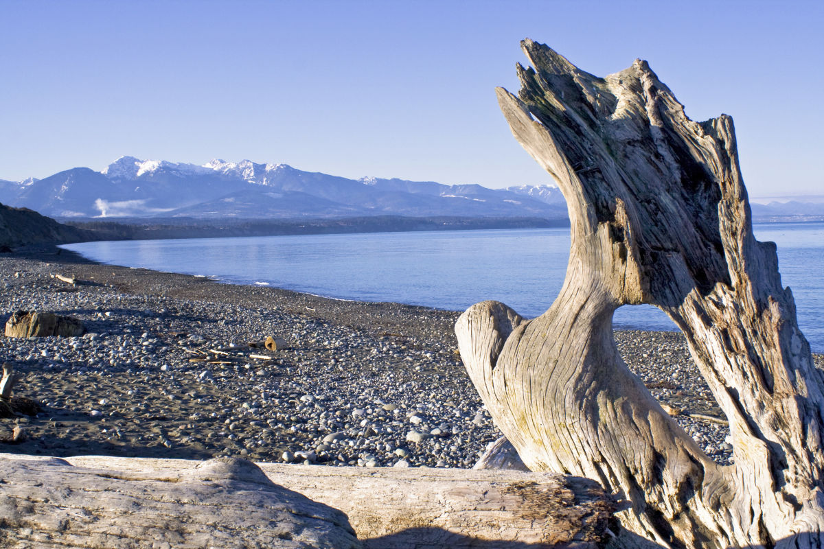 Washington's Best Beaches in Winter | Seattle Met