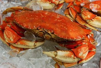Nosh Pit Weekly Planner | Seattle Met