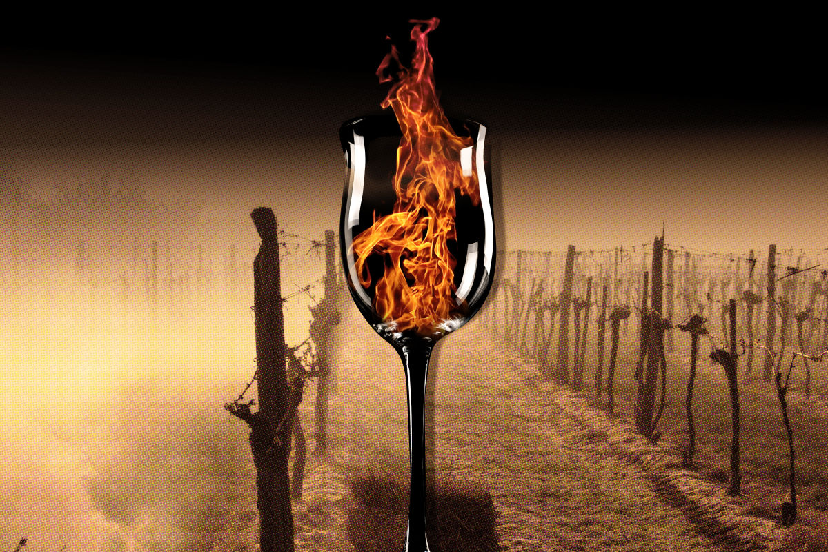 What Happens When Smoke Gets in Your Wine | Seattle Met